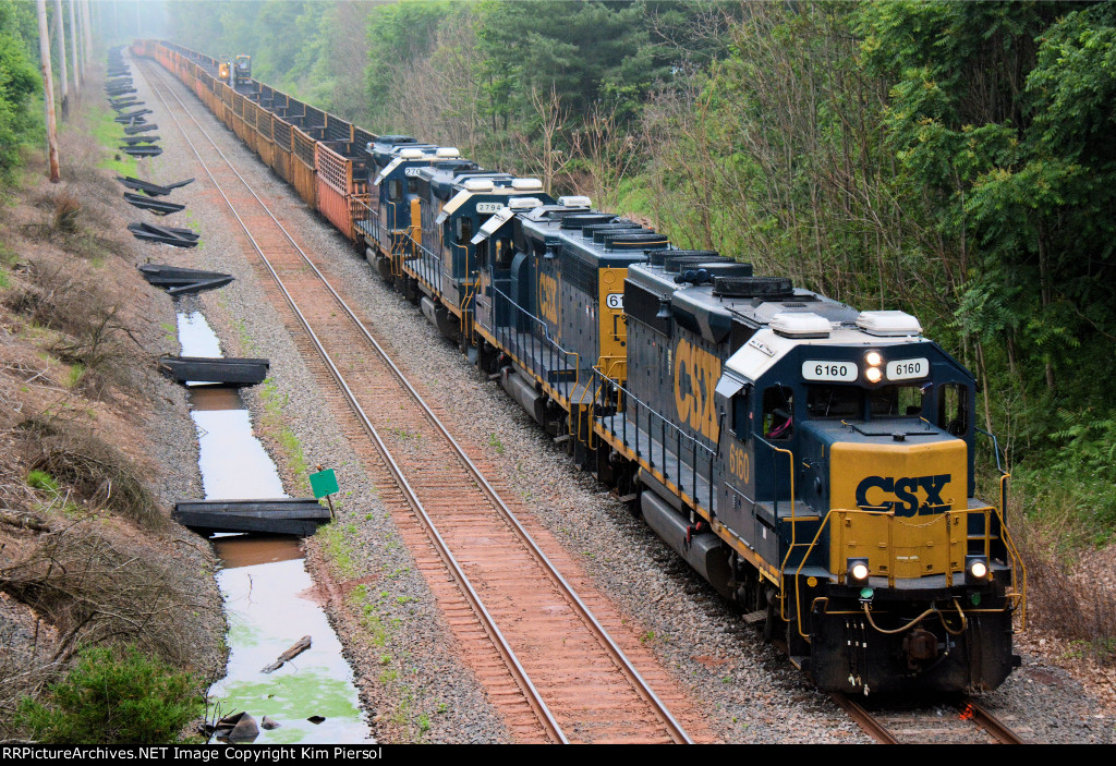 CSX 6160 W038 (MoW Tie Train)